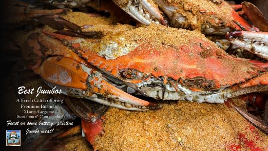 [STEAMED] Bushel USA Male Jumbo Hard Shell Blue Crabs - ( Large/XL Mix ...
