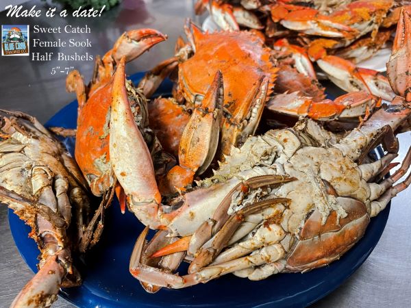 Free Shipping 2 Day :: Sweet Catch ~ Female Sooks •Half Bushel• Steamed ...
